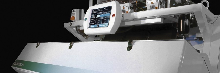 Employees - The Thijs Group bv